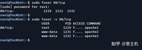 Fuser 通过文件、目录或端口查找并终止进程 知乎