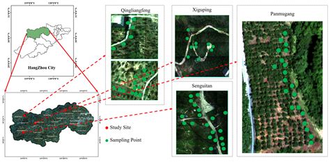 From Spectral Characteristics to Index Bands: Utilizing UAV Hyperspectral Index Optimization on ...