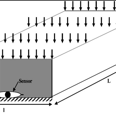 Structure Of The Sensor Inserted Into A Massive Download Scientific