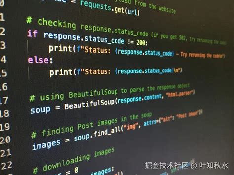 Python编程精进：vscode的10大热门插件vs Code是python开发的最佳代码编辑器之一。visual S 掘金