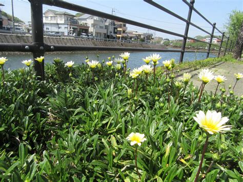 66長与町を、ぶらり散歩。 山田隆一 公式サイト
