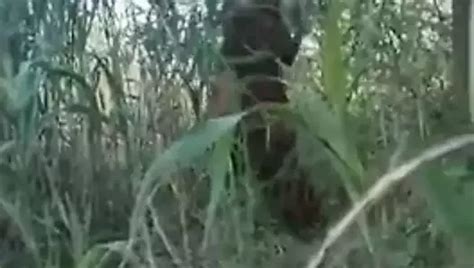 Desi Randi Outdoor Xhamster