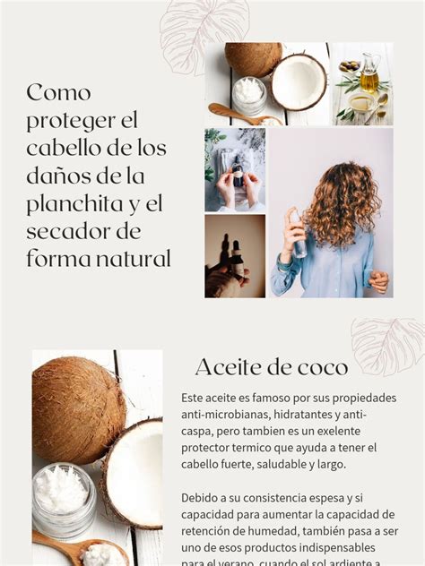 Tips Para Proteger Tu Cabello Pdf