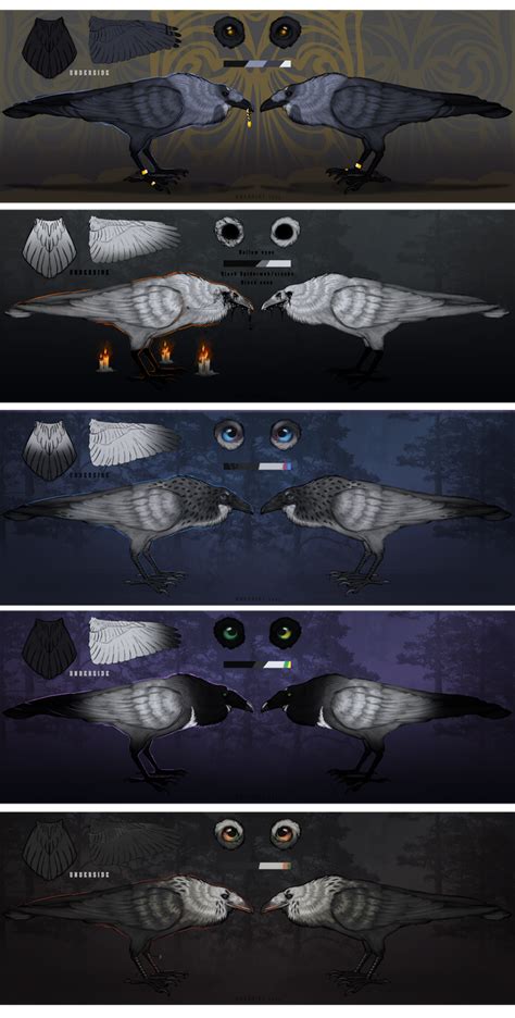 Raven Design Batch 3 By Morodine On Deviantart