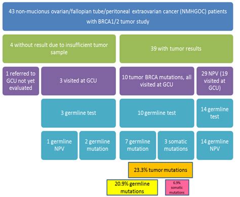 Brca Tumor Analysis As Molecular Screening For Germline Testing Annals Of Clinical Oncology