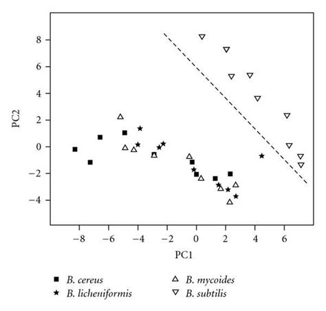 Distribution Of Some Representative Principal Components Of The AR Download Scientific Diagram