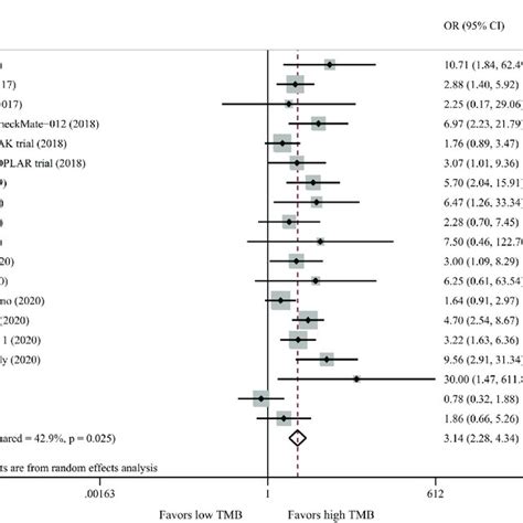 Forest Plot For Os Of High Tmb Versus Low Tmb In Nsclc Patients