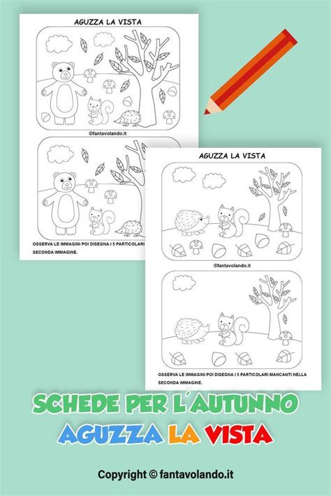 Schede Per Lautunno Aguzza La Vista Schede Autunno Attività Per