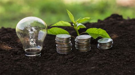 Net Zero Financing And Investing