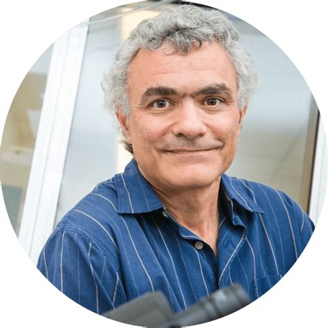 Schimenti Cornell Center For Immunology