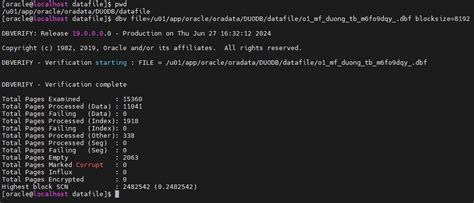 Repair database and database block corruption Oracle Database Kiểm