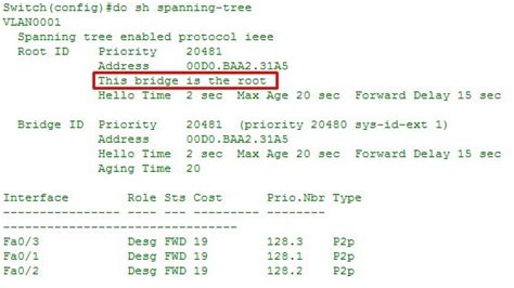 Konfigurasi Spanning Tree Protocol Belajar MikroTik Dan Cisco