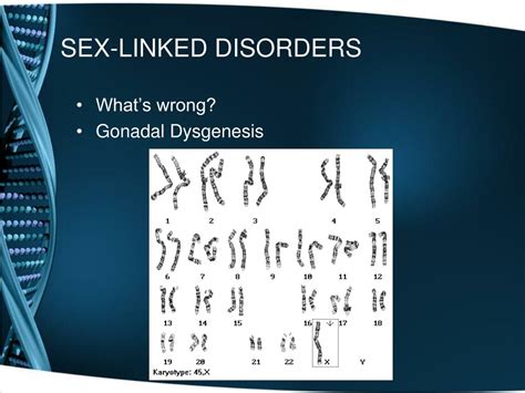 Ppt Genetic Disorders Powerpoint Presentation Free Download Id3515247
