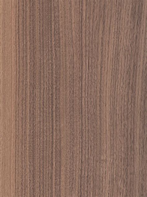 American Walnut Veneer