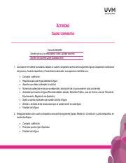 A8 U6 Cuadro Comparativo ACM DPP Pdf ACTIVIDAD CUADRO COMPARATIVO
