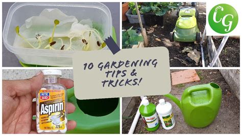 Community Gardening Community Gardening Amazing Garden Ideas