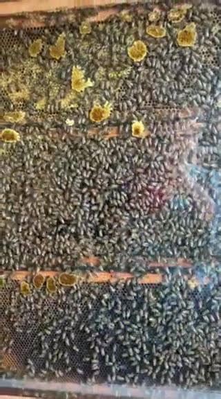 Narda Campbell Home Facebook