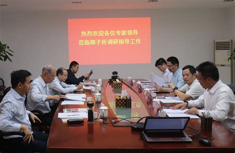 椰子研究所 重要新闻 黄三文院长带队到椰子所调研 推动国家热带木本油料技术创新中心建设