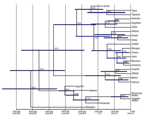Talkhabesha Peoplesarchives2016september Wikipedia
