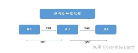 Python爬虫之js逆向非对称加密案例解析 知乎