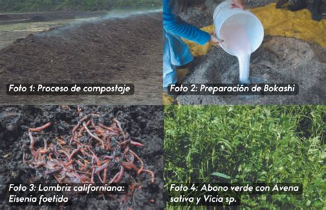 Importancia De La Materia Orgánica En El Manejo Del Suelo