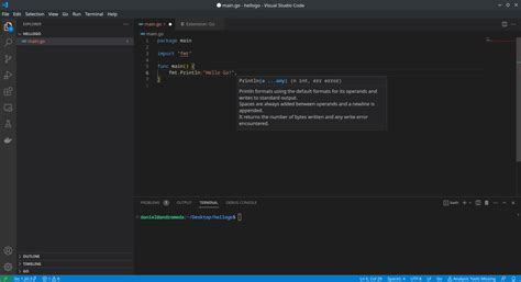 getting started with the go programming language golang using vs code