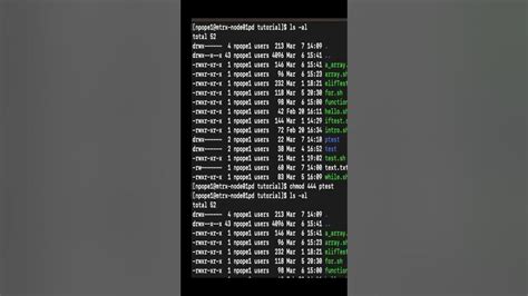 Directory Permissions In Linux Bash Shortvideo Linux