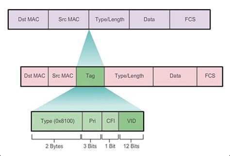 Chapter 6 Vlans Troubleshoot Vlans And Trunks Introduction To…