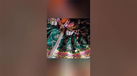 मन मन्दिर में सजे बिहारी मन मोहन तेरी छवि Viralvideo