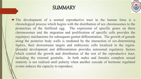 Development Of Gonads Gonad Differentiation Male Gonad And Female Gonad Pptx