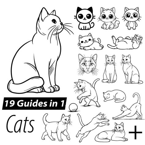 How To Draw Cats 19 Easy Guides In One Tutorial Sketchok In 2024