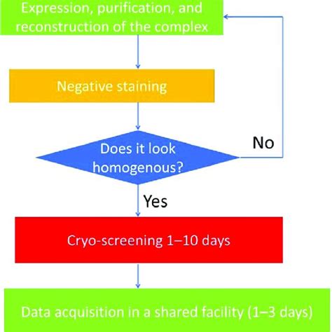 A Schematic Flowchart Describing The Approach For Structural Analysis