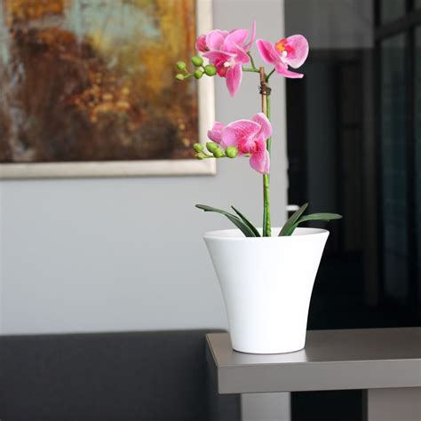 Ghiveci Orhidee Ceramica Ø 16 Cm Alb