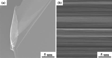 Sem Micrographs Of Hopg A Parallel Surface B Perpendicular Surface Download Scientific Diagram