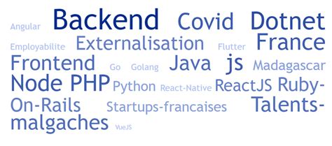 Analyse Des Stacks Technologiques Préférées Backendfrontendmobile Par