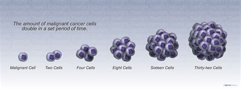Malignant Cancer Cells Trialexhibits Inc