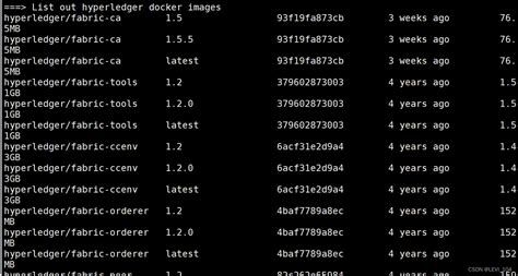 ubuntu16 04搭建fabric1 4 ubuntu搭建fabric CSDN博客