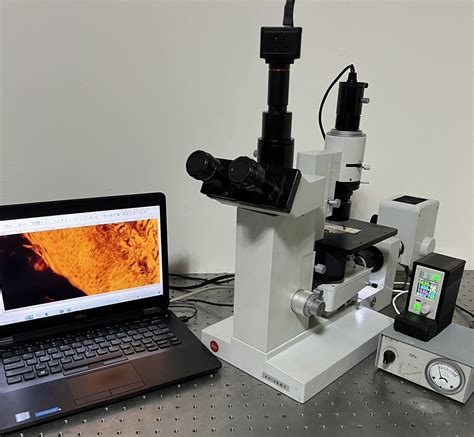 Leitz Epivert Inverted LED Fluorescence Phase Microscope EBay