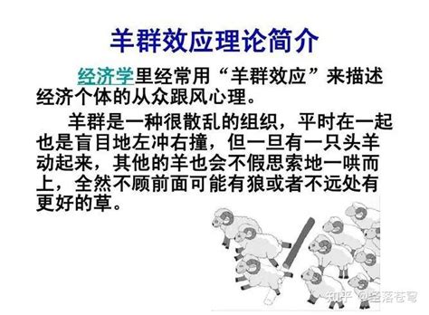 中国市场普遍的“羊群效应”是不合理的！ 知乎
