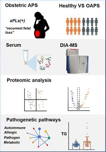血清样本蛋白质组学探索产科抗磷脂综合征的病理机制journal Of Proteome Research X Mol