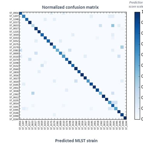 Confusion Matrix For Random Forest Classification Of 45 P Aeruginosa Download Scientific
