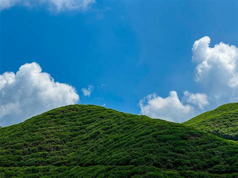 青い空を背景にした草が茂った丘の写真 Unsplashの壁紙の無料画像