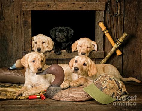 Pay Attention Class Photograph By David Joan Hagan Fine Art America