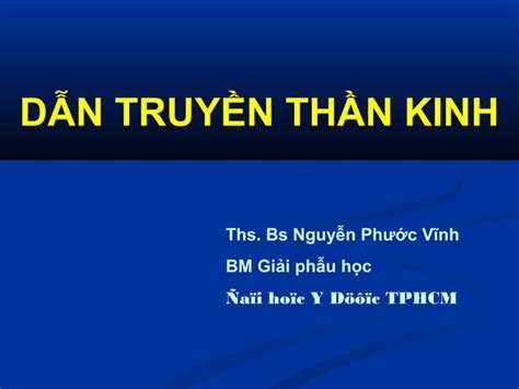 GIẢI PHẪU DẪN TRUYỀN THẦN KINH PPT