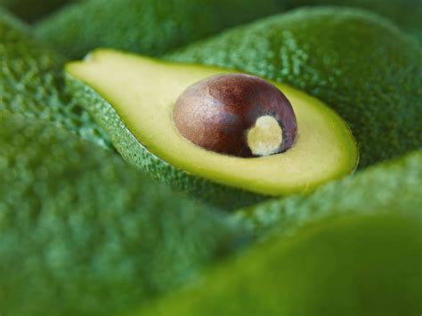 What Is Avocado