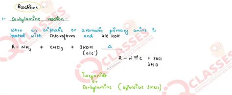 Class 12 Isc Chemistry Important Notes Chapter Amines