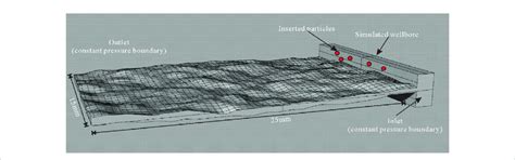 Schematic Illustration And Cfd Mesh Of The Fracture Download Scientific Diagram
