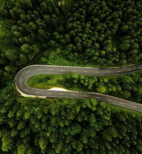 The Difference Between Carbon Neutral And Net Zero Planet Mark