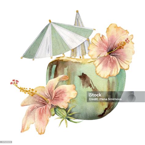 손으로 그린 수채화 구성 종이 우산 히비스커스 꽃과 코코넛 칵테일 흰색 배경에 격리 디자인 벽 예술 결혼식 인쇄 직물 표지 카드 관광 여행 책자 0명에 대한 스톡 벡터 아트
